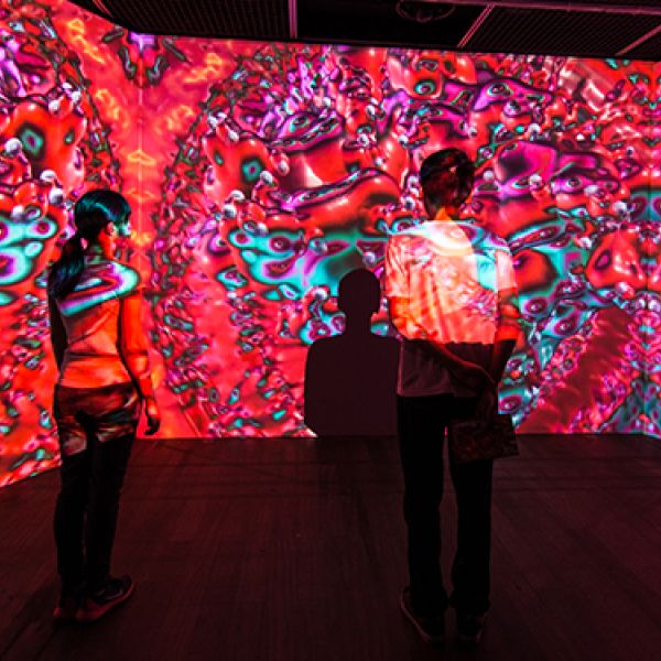 The Centre Des Arts D'Enghien, near Paris puts on exhibit the fantastic ...